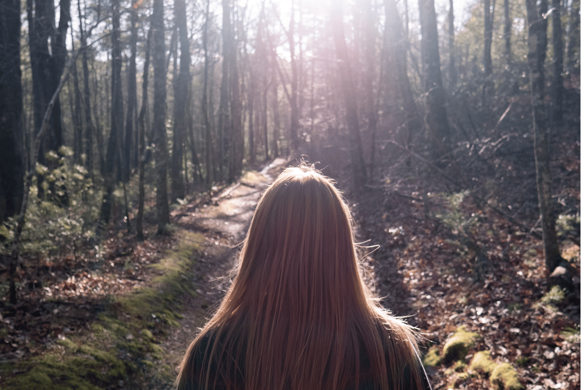 5 Things to Do in Bellbrook, Ohio! | Beyond the Build | Fischer Homes
