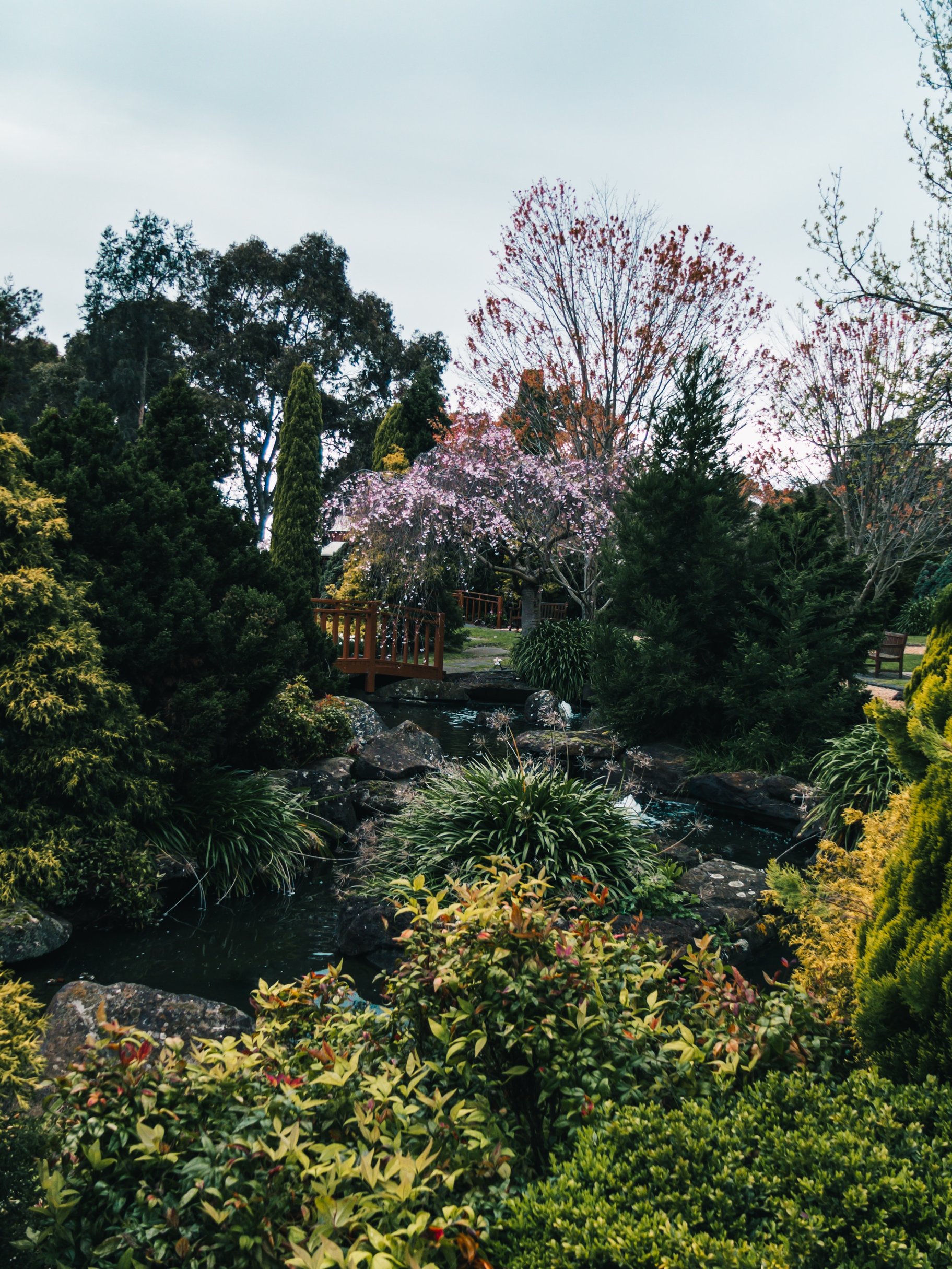 10 Things To Do In Shepherdsville, Kentucky!